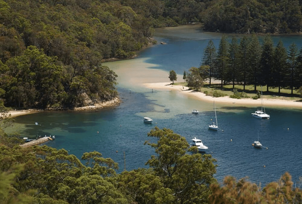 Northern Beaches Best BBQ spots: Where to Sizzle & Chill | Bayfields Liquor